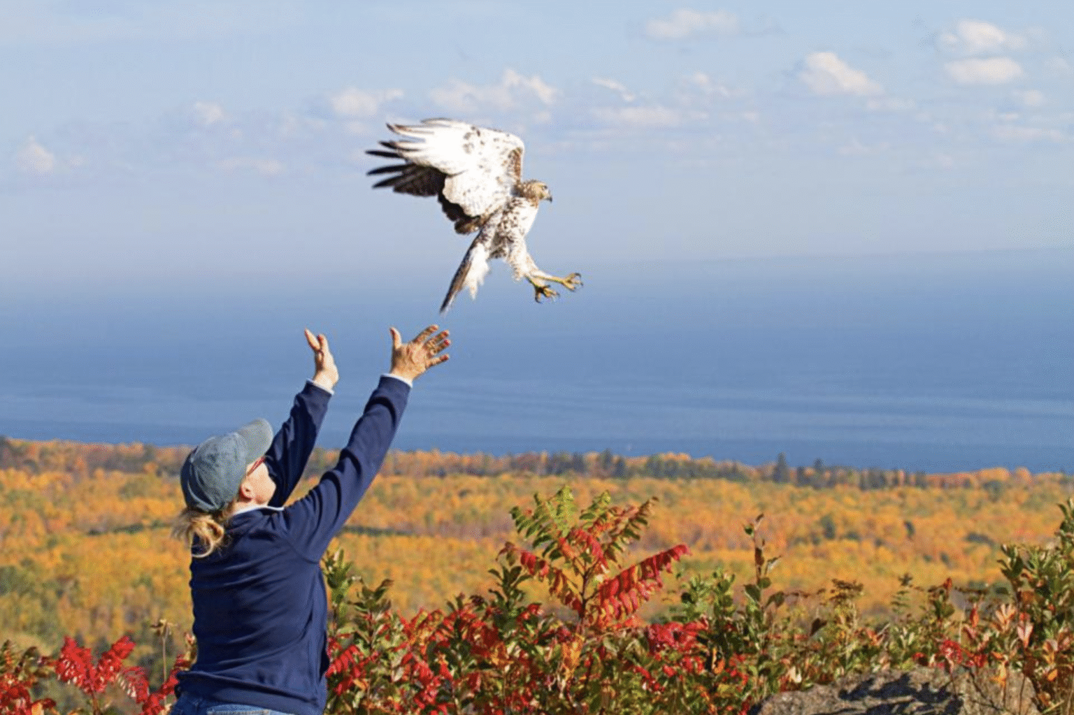 Home - The Trailside Hotel